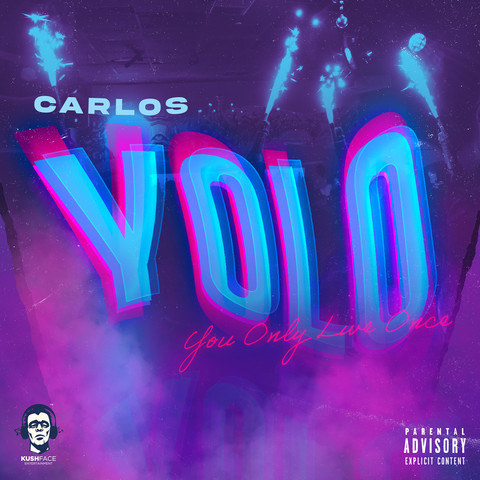 Yolo Song Download: Yolo MP3 Song Online Free on Gaana.com