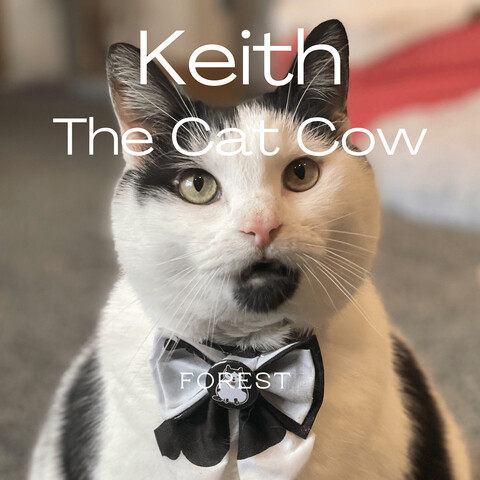Keith the Cat Cow Song Download: Keith the Cat Cow MP3 Song Online Free ...