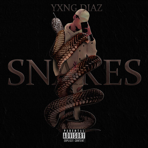Snakes Songs Download: Snakes MP3 Songs Online Free on Gaana.com