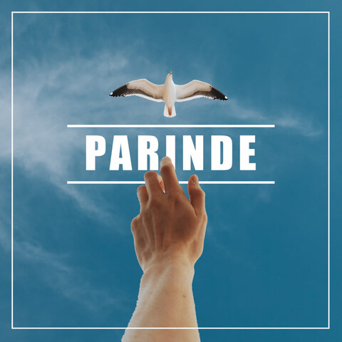 PARINDE Song Download: PARINDE MP3 Song Online Free on Gaana.com