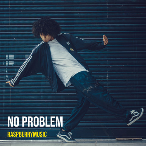 No Problem Song Download: No Problem MP3 Song Online Free on Gaana.com