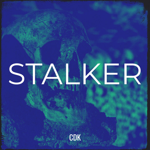 Stalker Song Download: Stalker MP3 Song Online Free on Gaana.com