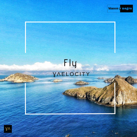 Fly Song Download: Fly MP3 Song Online Free on Gaana.com