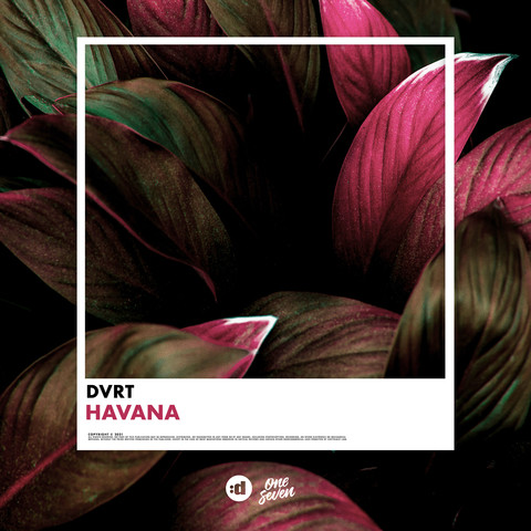 Havana Song Download: Havana MP3 Song Online Free on Gaana.com