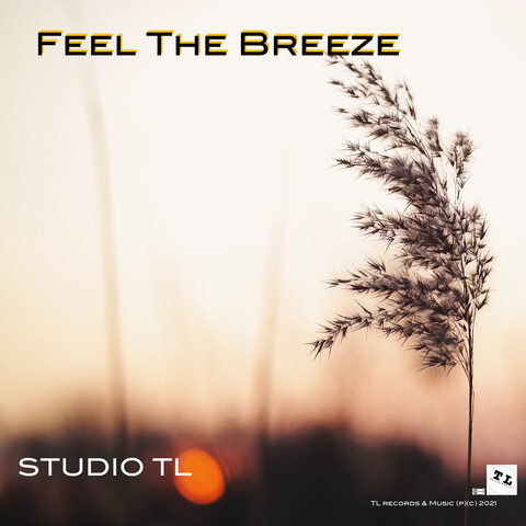 Feel the Breeze Song Download: Feel the Breeze MP3 Song Online Free on ...