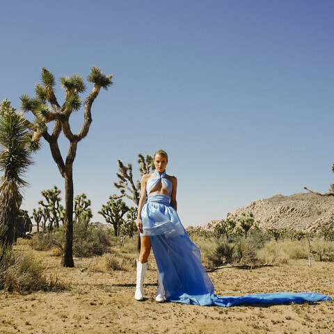 Baby Blue Song Download: Baby Blue MP3 Song Online Free on Gaana.com