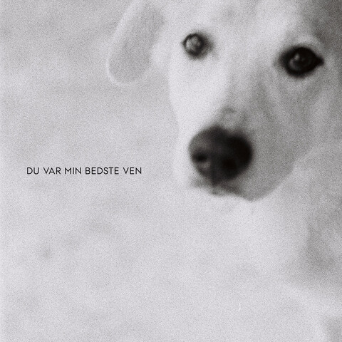 Du var min bedste ven Song Download: Du var min bedste ven MP3 Danish ...