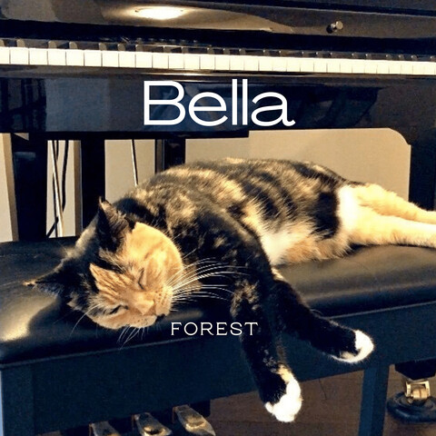 Bella Song Download: Bella MP3 Song Online Free on Gaana.com
