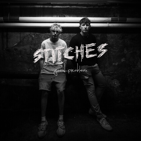 Stitches Song Download: Stitches MP3 Song Online Free on Gaana.com