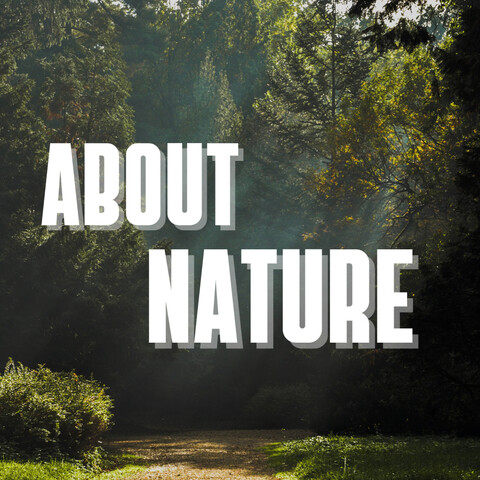 About Nature Songs Download: About Nature MP3 Songs Online Free on ...