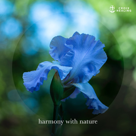 harmony with nature Songs Download: harmony with nature MP3 Songs ...