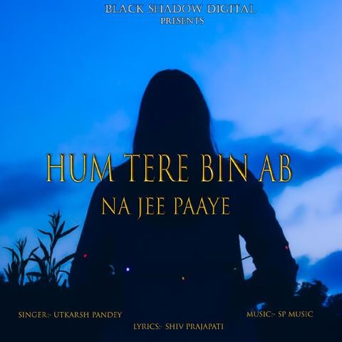 Hum Tere Bin Ab Naa Jee Paaye Song Download: Hum Tere Bin Ab Naa Jee ...