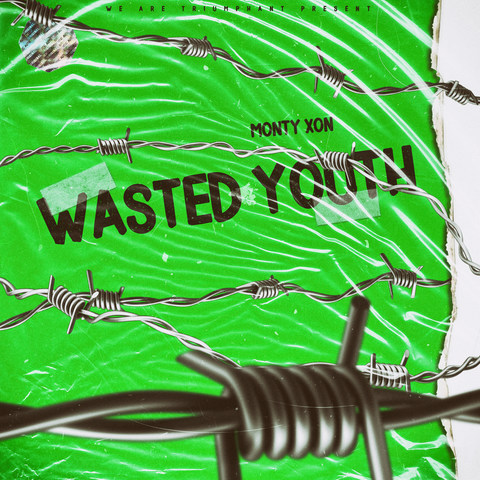 Wasted Youth Song Download: Wasted Youth MP3 Song Online Free on Gaana.com