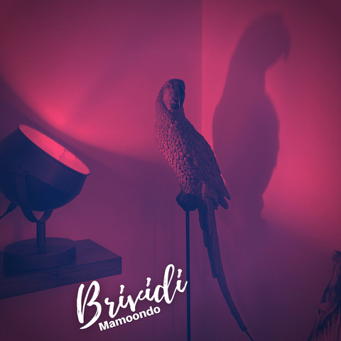 Brividi Song Download: Brividi MP3 Italian Song Online Free on Gaana.com