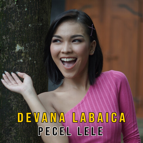 Pecel Lele Song Download: Pecel Lele MP3 Indonesian Song Online Free on ...