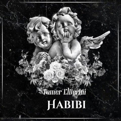 Habibi Song Download: Habibi MP3 Song Online Free on Gaana.com