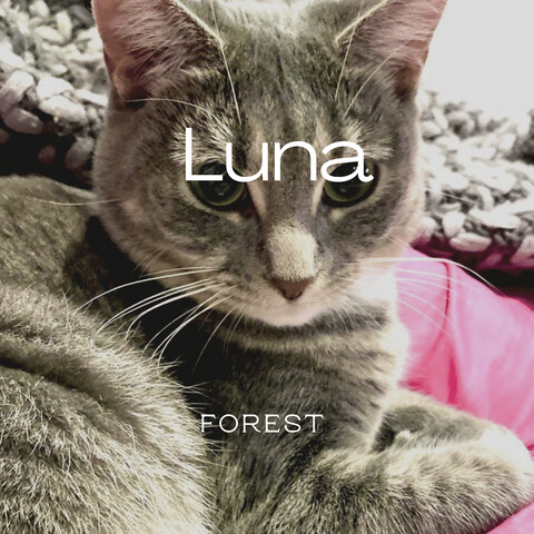 Luna Song Download: Luna MP3 Song Online Free on Gaana.com