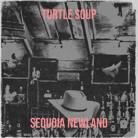 Turtle Soup Song Download: Turtle Soup MP3 Song Online Free on Gaana.com