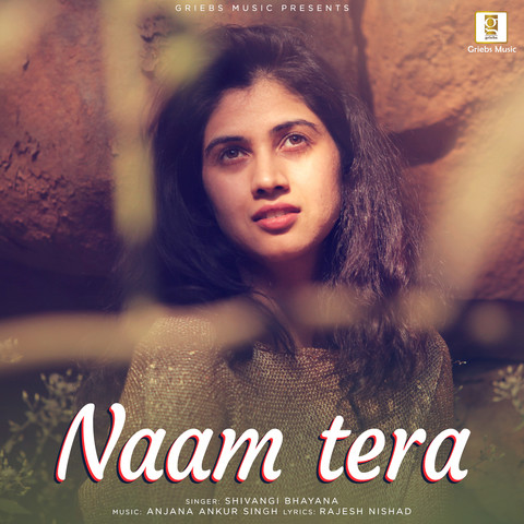 Naam Tera Song Download: Naam Tera MP3 Song Online Free on Gaana.com