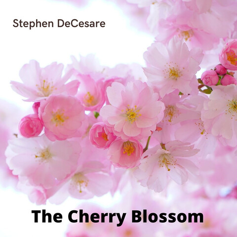 The Cherry Blossom Song Download: The Cherry Blossom MP3 Song Online ...