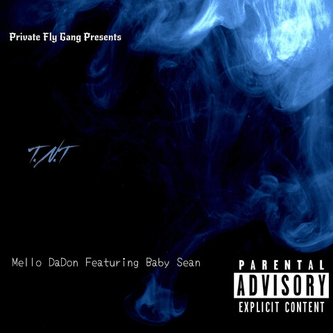 Tnt Song Download: Tnt MP3 Song Online Free on Gaana.com