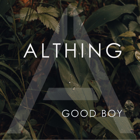 Good Boy Song Download: Good Boy MP3 Song Online Free on Gaana.com