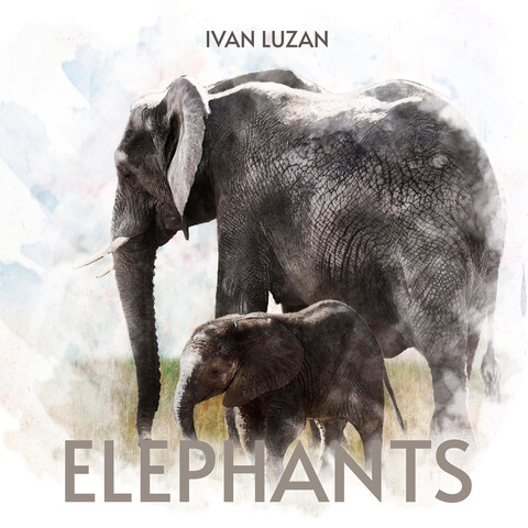 Elephants Song Download: Elephants MP3 Song Online Free on Gaana.com