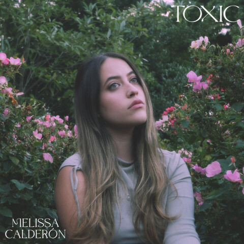 Toxic Song Download: Toxic MP3 Song Online Free on Gaana.com