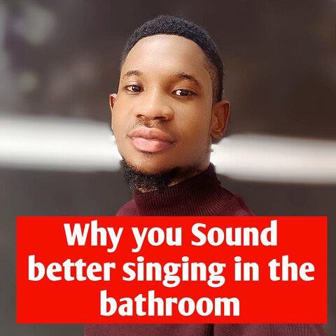 Why You Sound Better Singing in the Bathroom Song Download: Why You ...