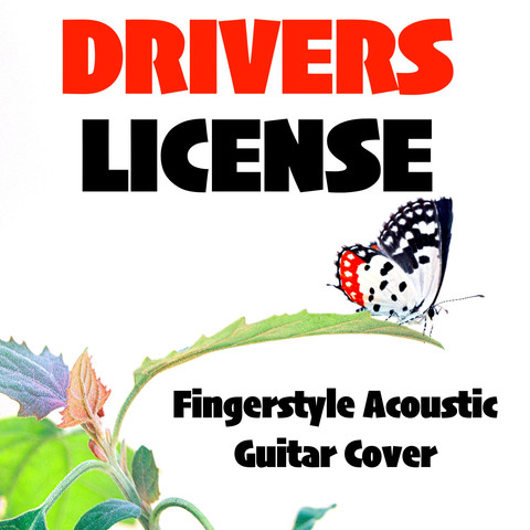Drivers License (Fingerstyle Acoustic Guitar Cover) Song Download ...