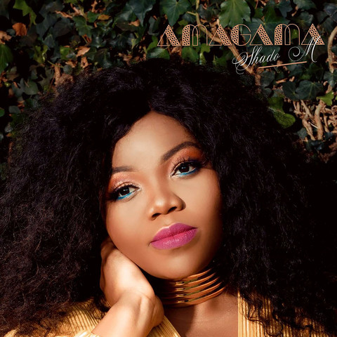 Amagama Song Download: Amagama MP3 Zulu Song Online Free on Gaana.com