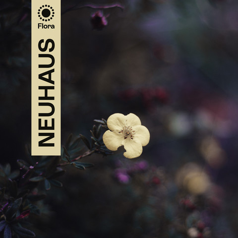 Flora Song Download: Flora MP3 Song Online Free on Gaana.com