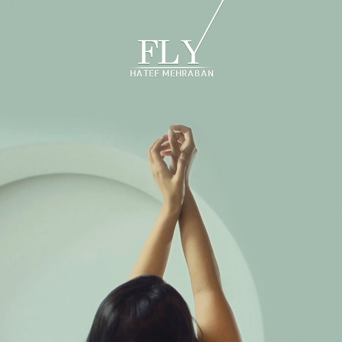 Fly Song Download: Fly MP3 Song Online Free on Gaana.com