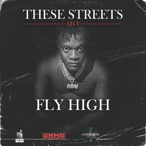 Fly High Song Download: Fly High MP3 Song Online Free on Gaana.com