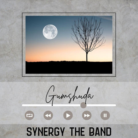 Gumshuda Song Download: Gumshuda MP3 Song Online Free on Gaana.com