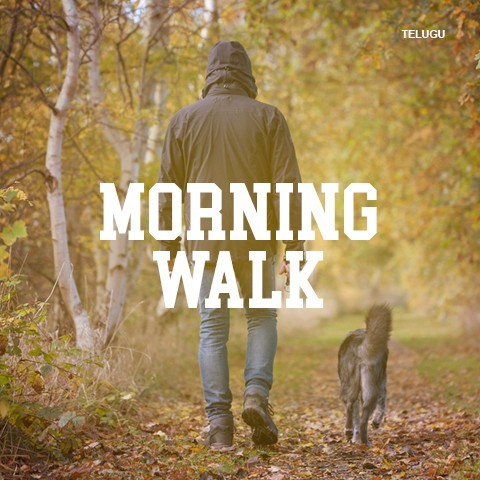 Morning Walk Music Playlist: Best MP3 Songs on Gaana.com